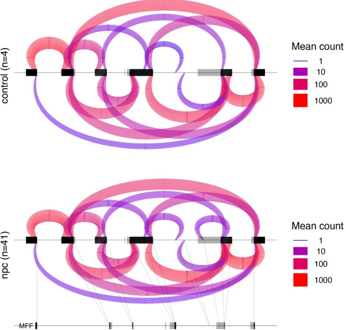 可变剪接分析流程（rMATS）-CSDN博客