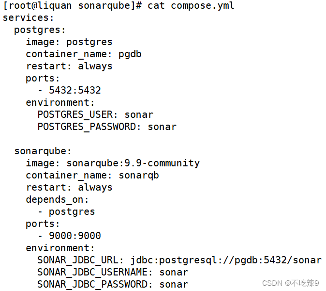 Docker：SonarQube的安装配置_sonarqube docker安装-CSDN博客