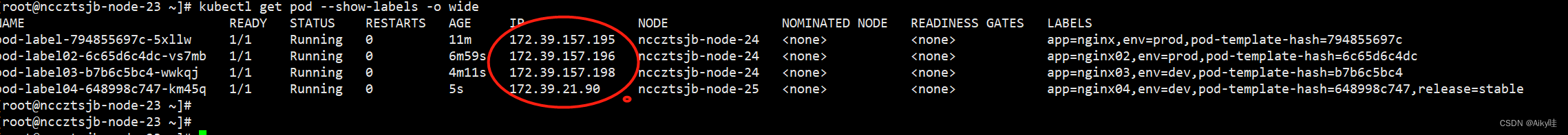 k8s中label和label selector的基本概念及使用方法_labelselector-CSDN博客