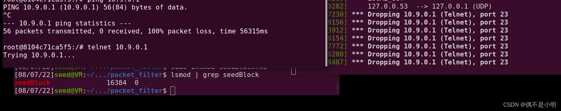 SEED-LABS Firewall Exploration Lab-CSDN博客