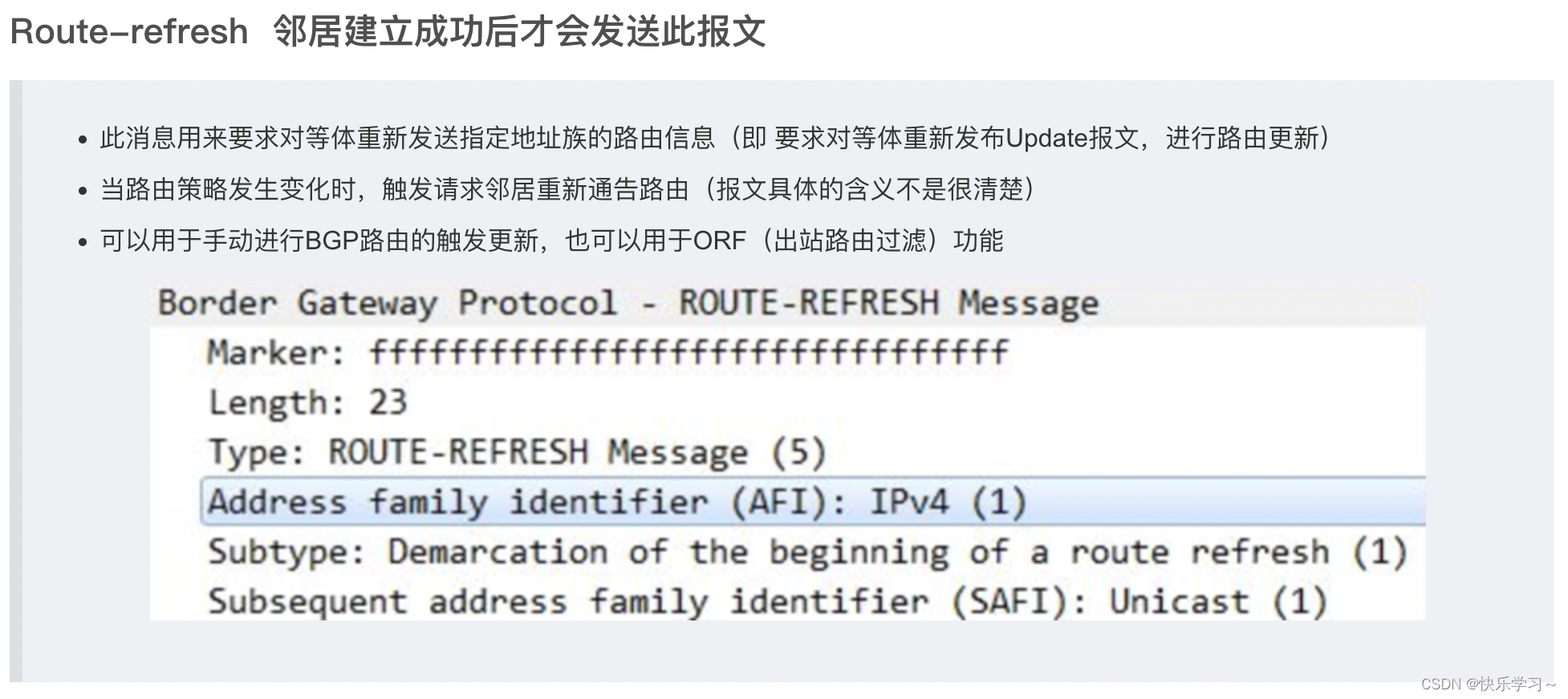 【博客459】BGP(边界网关协议)-----报文格式_route-refresh报文-CSDN博客