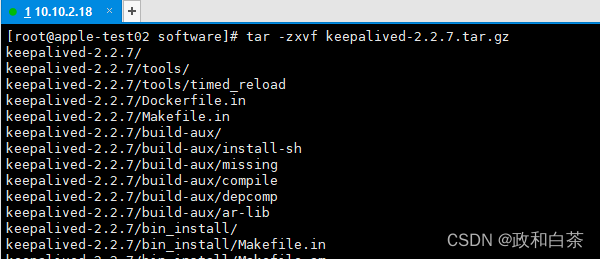 Keepalive Nginx 热备_keepalive查节点状态-CSDN博客