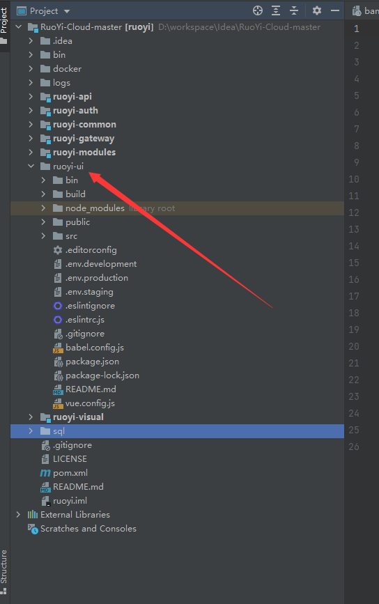 RuoYi-Cloud 若依微服务版启动教程（保姆级）_澎湖Java架构师的博客-CSDN博客