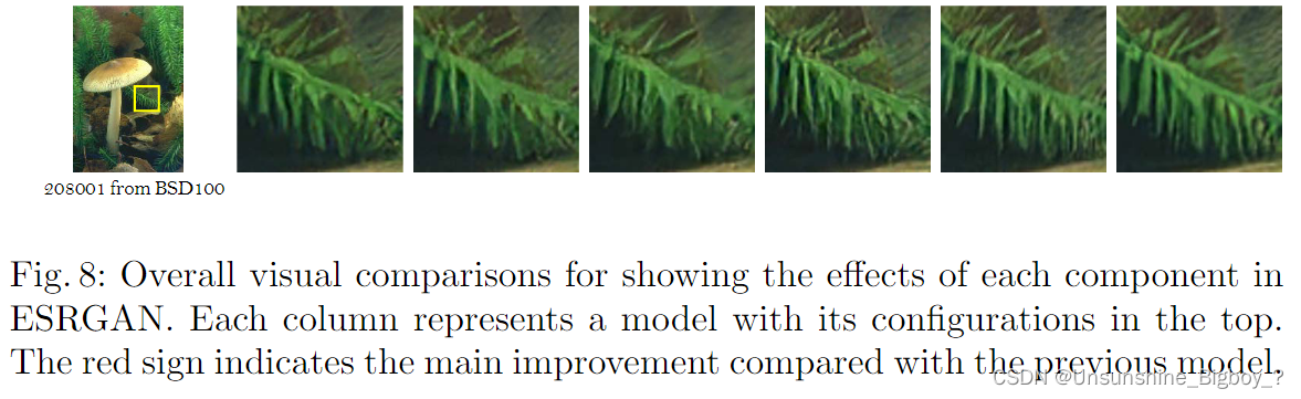 ESRGAN/ESRGAN+: Enhanced Super-Resolution Generative Adversarial ...