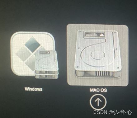 使用大佬EFI安装黑苹果后启动项太多？黑苹果无损去除多余启动项，只留下win和MAC图标，有手就会，还你歌干净的启动图标_macos开机启动项太多-CSDN博客