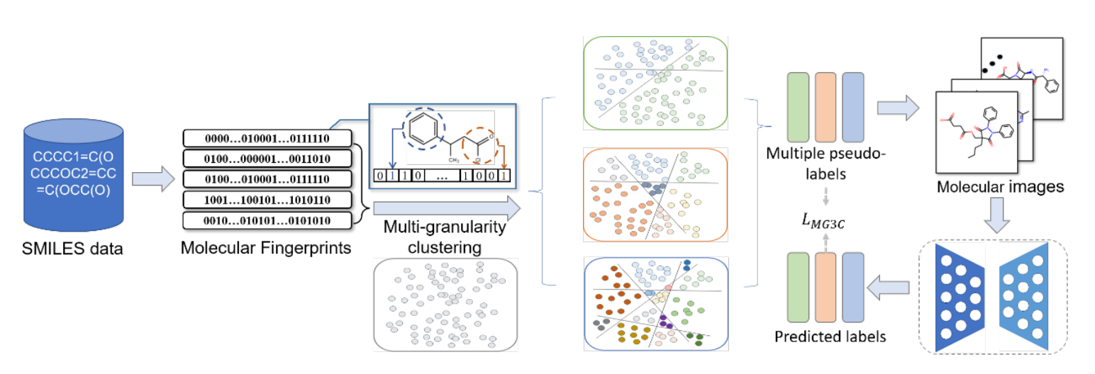 Accurate prediction of molecular targets using a self-supervised image rep...（论文解读）_accurate ...