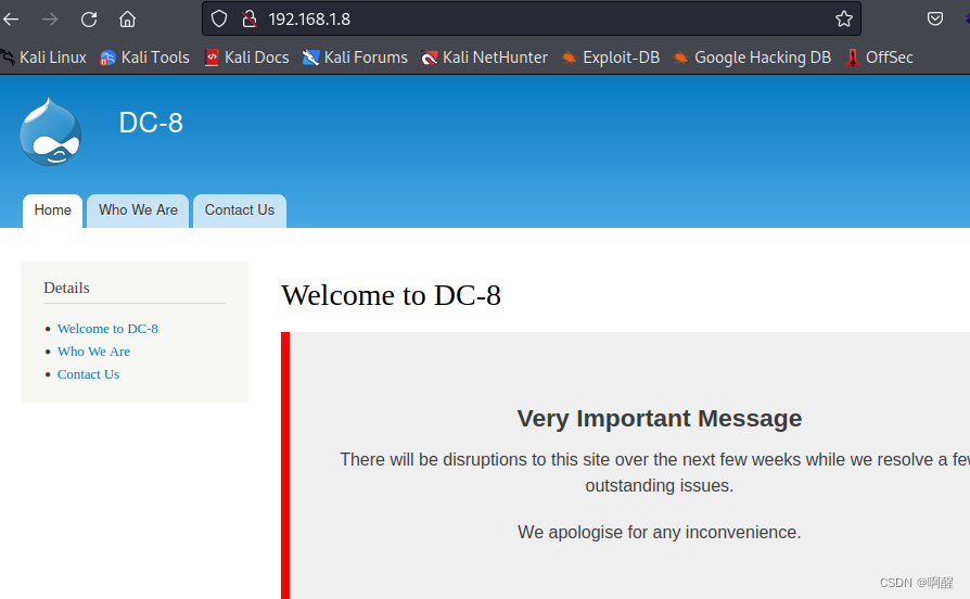 DC-8靶机渗透测试详细教程_dc8 通关教程-CSDN博客