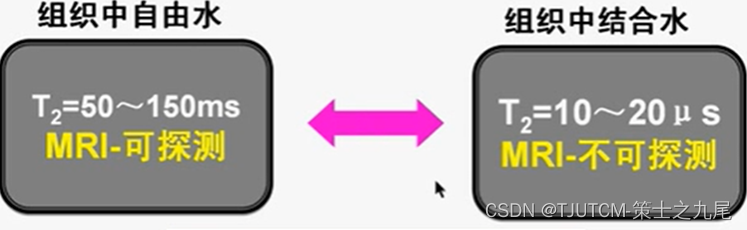 MRI原理与CEST相关简介_cest mri-CSDN博客