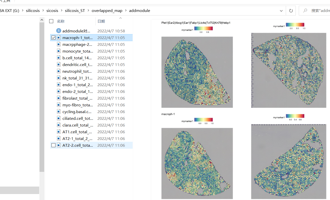 seurat的 addmodule循环画图 等同于基因的叠加图 识别细胞类型 空转与单细胞得到的marker基因联合_seurat ...
