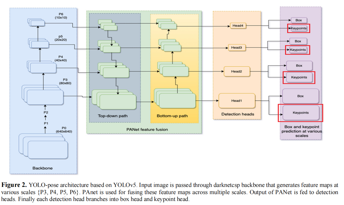 论文笔记——YOLO-POSE_oks loss-CSDN博客
