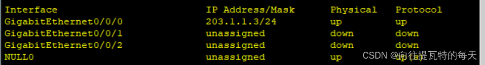 hcia综合实验（考试版）_nat server protocol tcp global current-interface t-CSDN博客