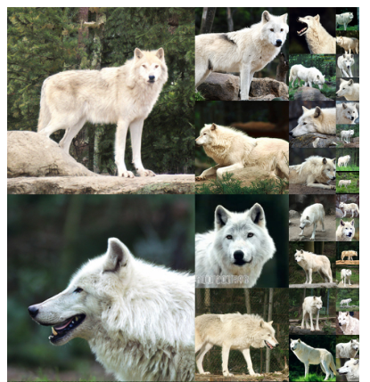 Scalable Diffusion Models with Transformers-CSDN博客