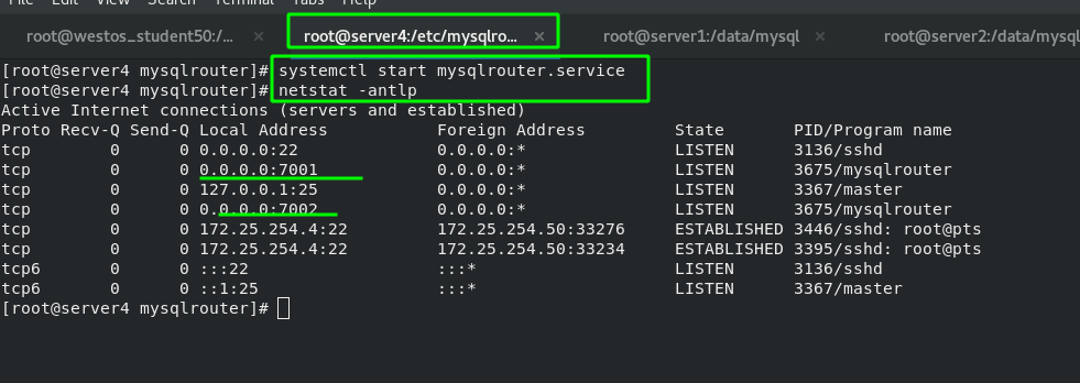 LAMP架构之7——MySQL-Router(读写分离层) – 源码巴士