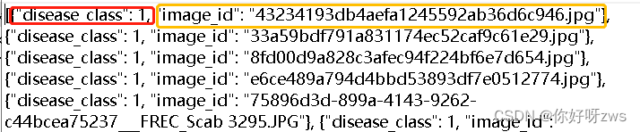 json转txt、ImageNet格式_把自己的数据集转换为imagenet格式-CSDN博客