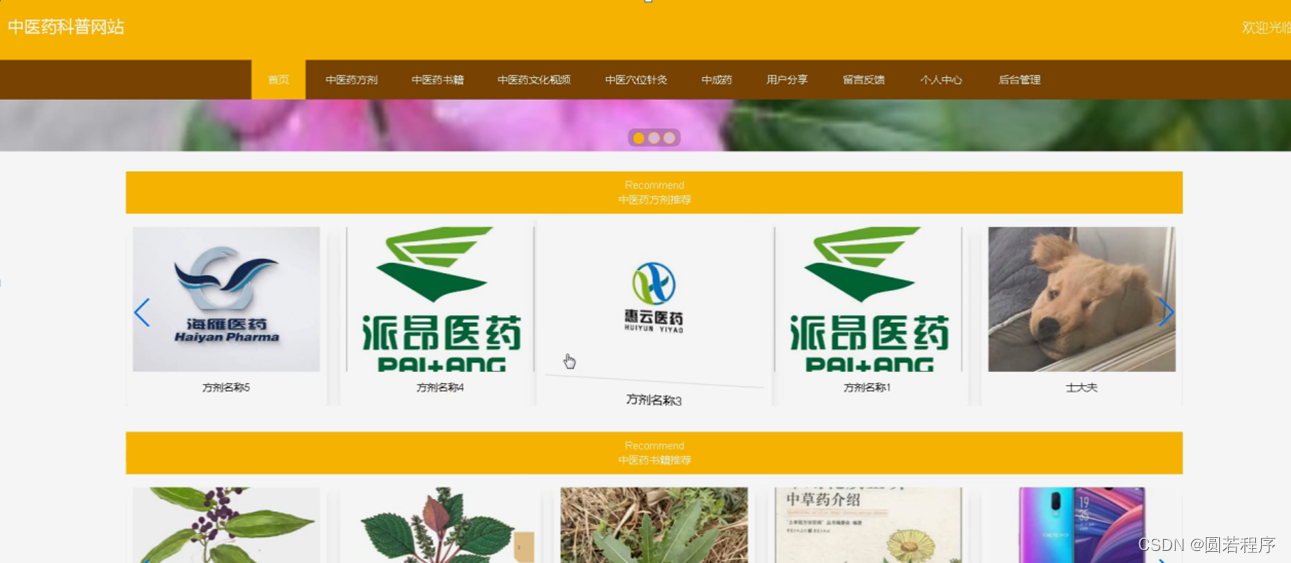 Javaphpnodejspython中医药科普网站【2024年毕设】中医科普系统毕设 Csdn博客 