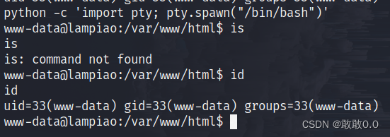 Lampiao靶场渗透_靶机lamp初始的登录密码-CSDN博客