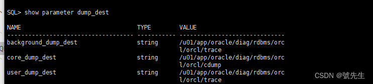 oracle 启动命令与查看日志_oracle启动日志在哪里-CSDN博客