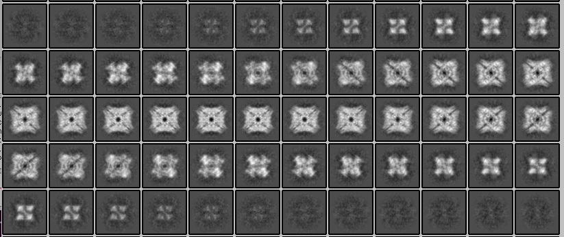Relion三维重构失败可能的问题-CSDN博客