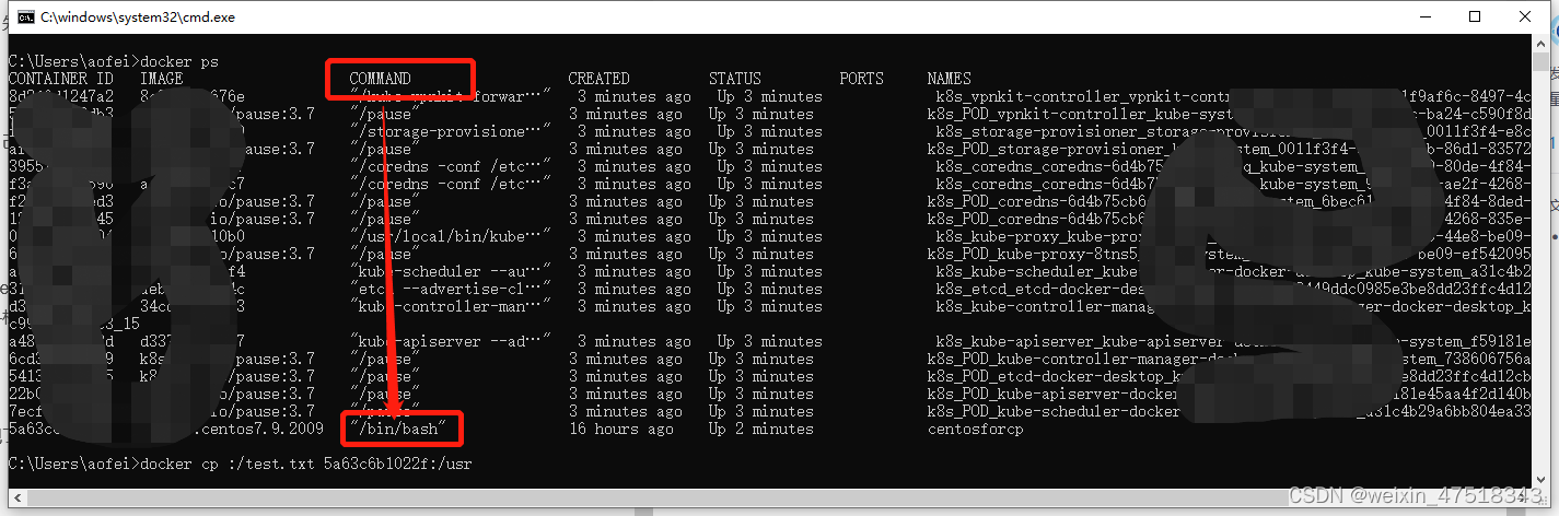 docker cp报错no such directory_docker cp no such directory-CSDN博客