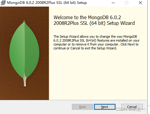 MongoDB的安装(Windows)_mongodb windows安装-CSDN博客