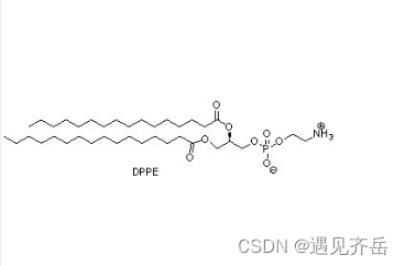 DPPE-PEG-PTX 紫杉醇-聚乙二醇-二棕榈酰基磷脂酰乙醇胺-CSDN博客