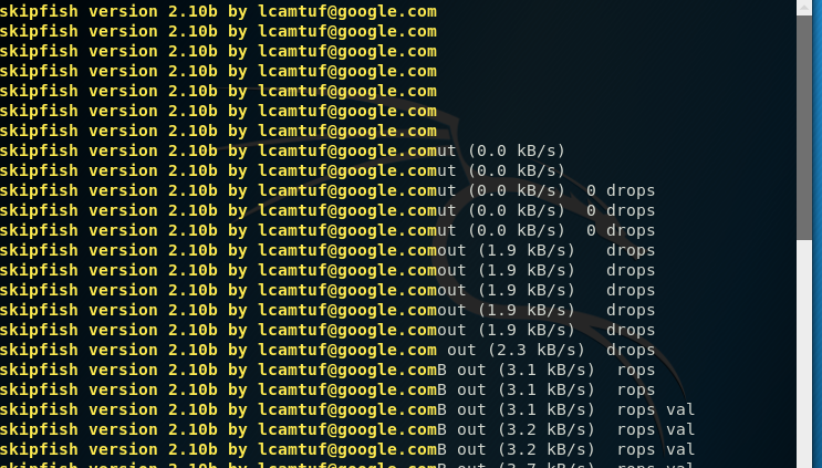 kali linux Web渗透扫描工具：nikto、skipfish_kali web扫描工具-CSDN博客