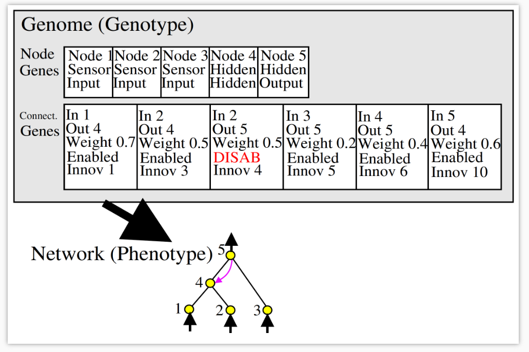 4.1、神经网络进化NE（Neuro Evolution）_进化神经网络-CSDN博客