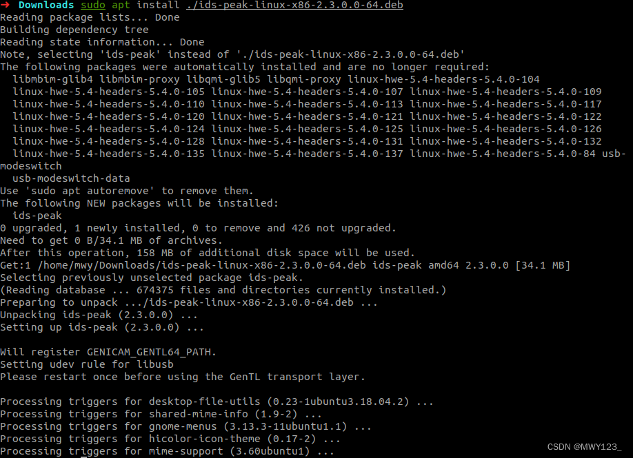 IDS uEye XCP USB3相机驱动安装ubuntu18.04_ids相机驱动-CSDN博客