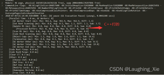 jvm调优笔记_打印jvm内存_Laughing_Xie的博客-CSDN博客