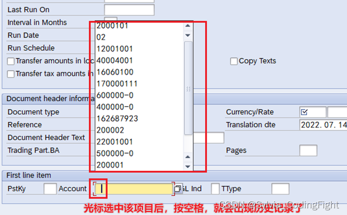 SAP GUI配置和操作小技巧_sap gui选项-CSDN博客