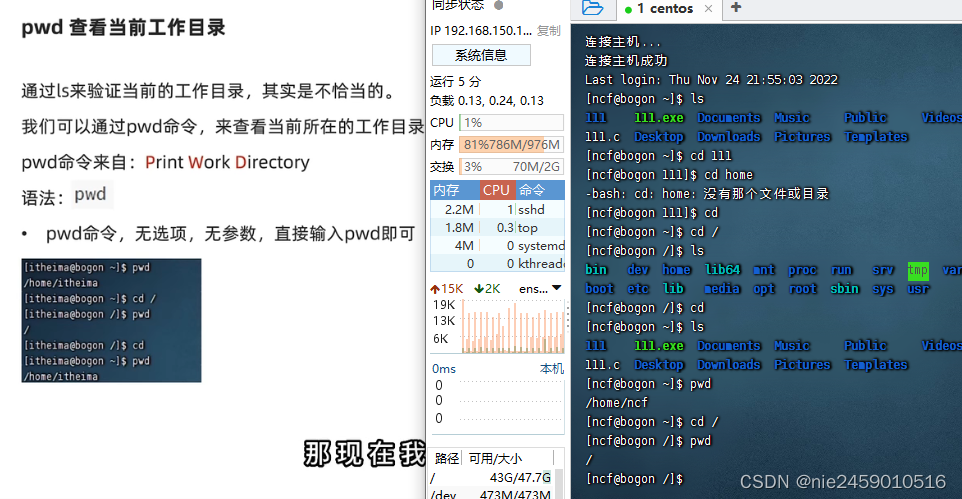 Linux Cd Pwd命令 相对路径绝 。 。mkdir命令对路径和特殊路径符。文件操作命令。cp Mv Rm命令。管理员登陆linux Mkdir管理员 Csdn博客