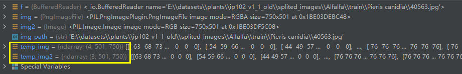 Pytorch报错解决：The size of tensor a (4) must match the size of tensor b (3 ...