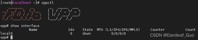 VPP创建接口_vpp 创建网口-CSDN博客