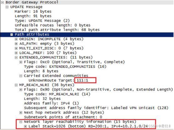 浅谈双层标签的VPN 第二篇 BGP/MPLS IP VPN的两层标签_bgp lsp和ldp lsp-CSDN博客