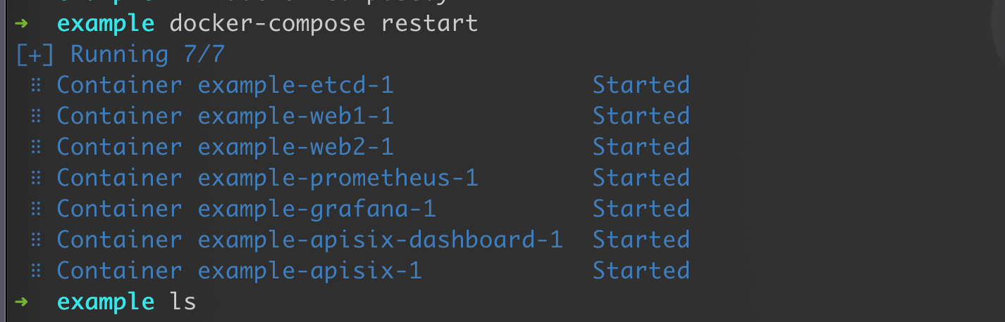 Docker部署 apisix 并使用golang插件(自定义鉴权方式)_apisix go runner-CSDN博客