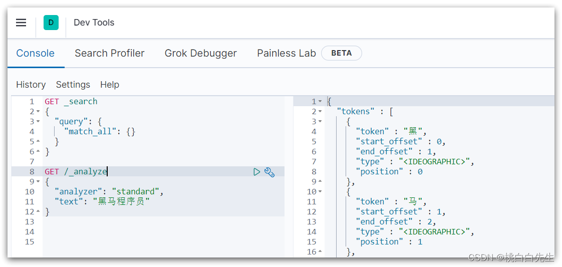 安装ElasticSearch_elasticsearch安装-CSDN博客