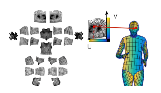 densepose的IUV图像I通道数字与身体部分对应关系_densepose 画图-CSDN博客