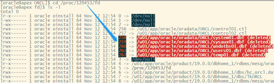 删除了 /oradata 下一些dbf文件，实例还在运行，怎么恢复？_arch.dbf文件-CSDN博客