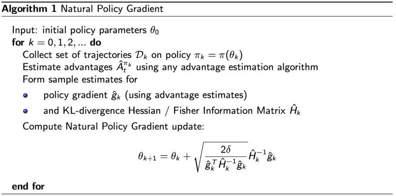 论文笔记之NPG_npg算法-CSDN博客