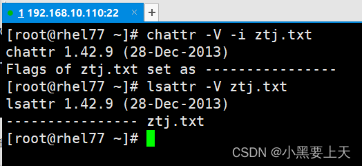 Linux命令(5)之chattr_linux chattr-CSDN博客