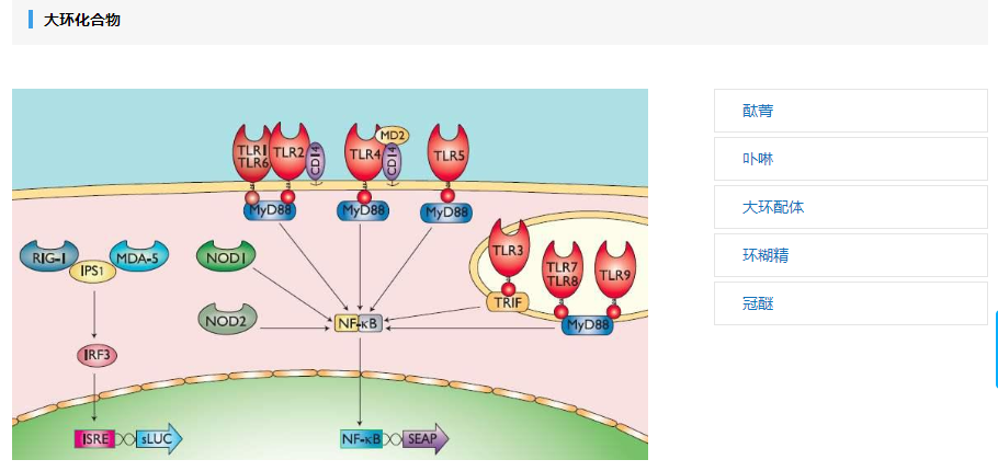 mof配体TCPP-Mn(2+)/cas73202-95-6/四羧基苯基卟啉锰的作用机理(科学研究院)_tcpp配体-CSDN博客