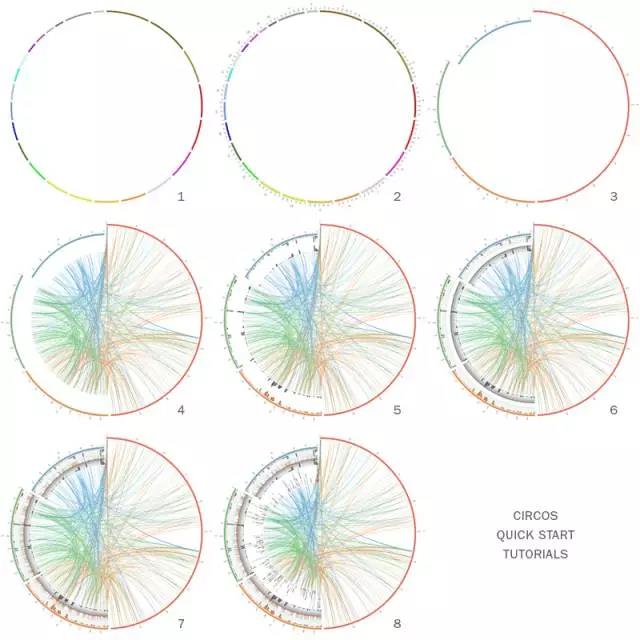 Circos入门教程_华大基因学院的博客-CSDN博客