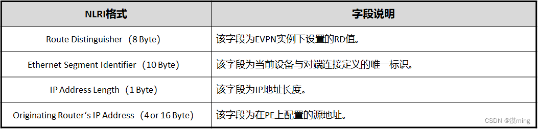 【EPVN】EVPN路由详解-CSDN博客