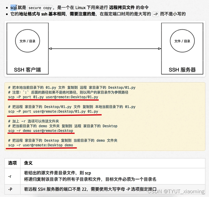 Linux复习 Csdn博客 