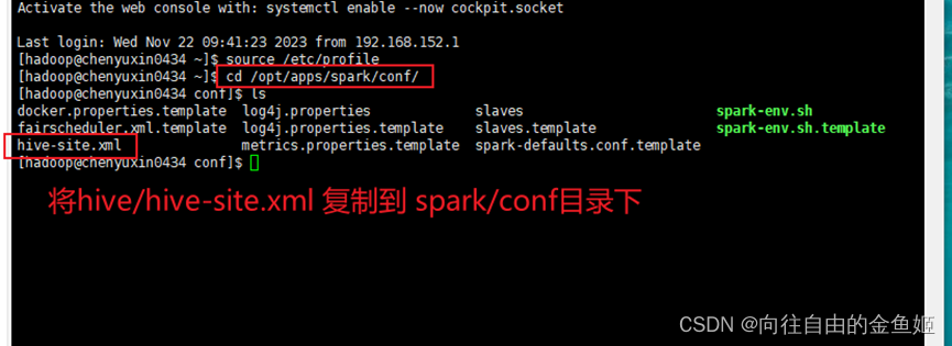 在虚拟机里怎么安装Hive？Hive与SQL的交互应用_虚拟机安装hive-CSDN博客