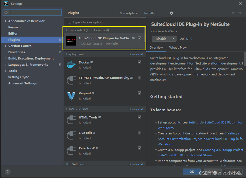 NetSuite/SuiteScript：如何在WebStorm安装SuiteCloud IDE plug-in插件_webstorm怎么安装 ...