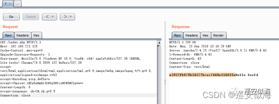 【PyHacker编写指南】实战编写漏洞POC_chjpbnrmkg1knsgnchr0zhj3jykpow==-CSDN博客