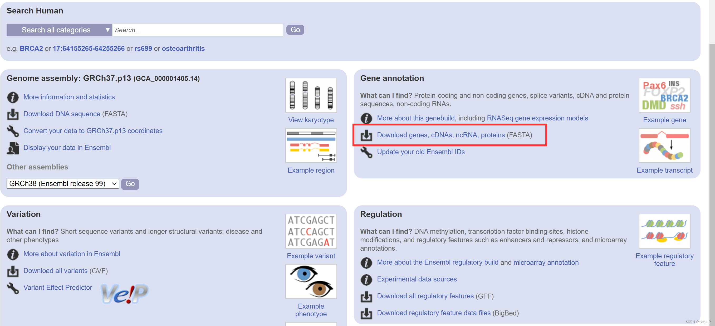 如何下载Homo_sapiens.GRCh38.100.gtf.gz和Homo_sapiens.GRCh37.87.gtf.gz参考基因组注释文件_ensemble数据库grch37-CSDN博客