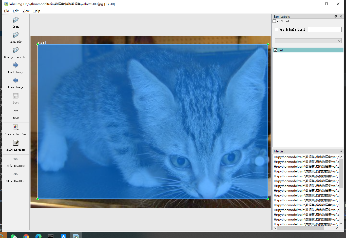 LabelImg的使用_labelimg -h-CSDN博客
